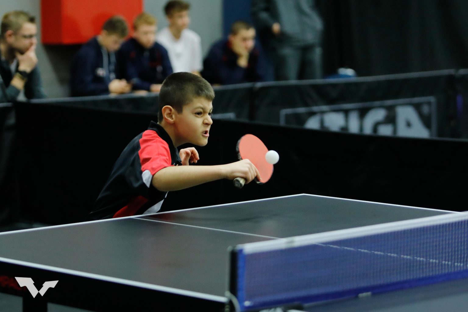 Pattison falls to a familiar foe - Table Tennis England