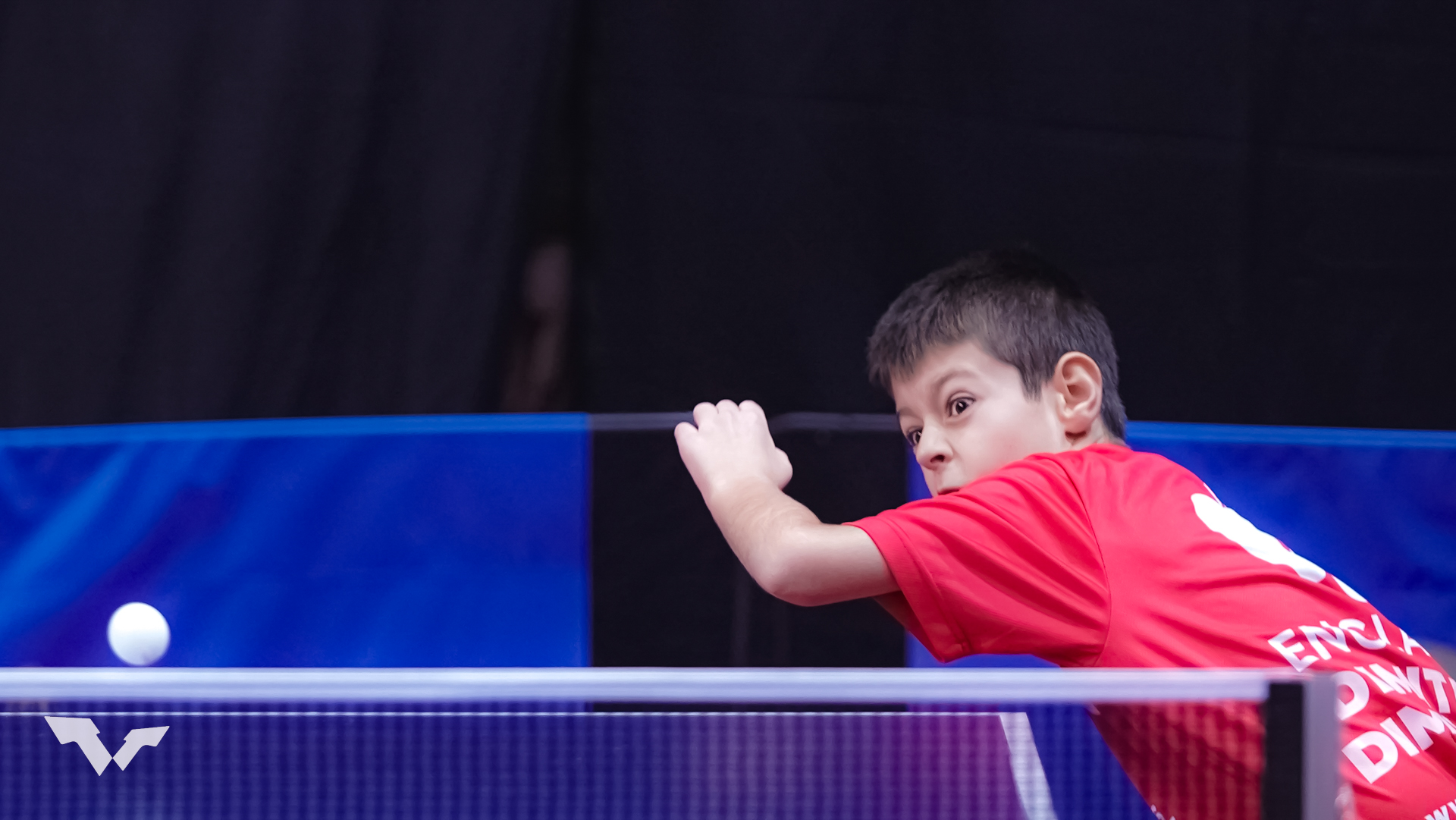 Dimitrov run ended by top seed in semi-finals - Table Tennis England
