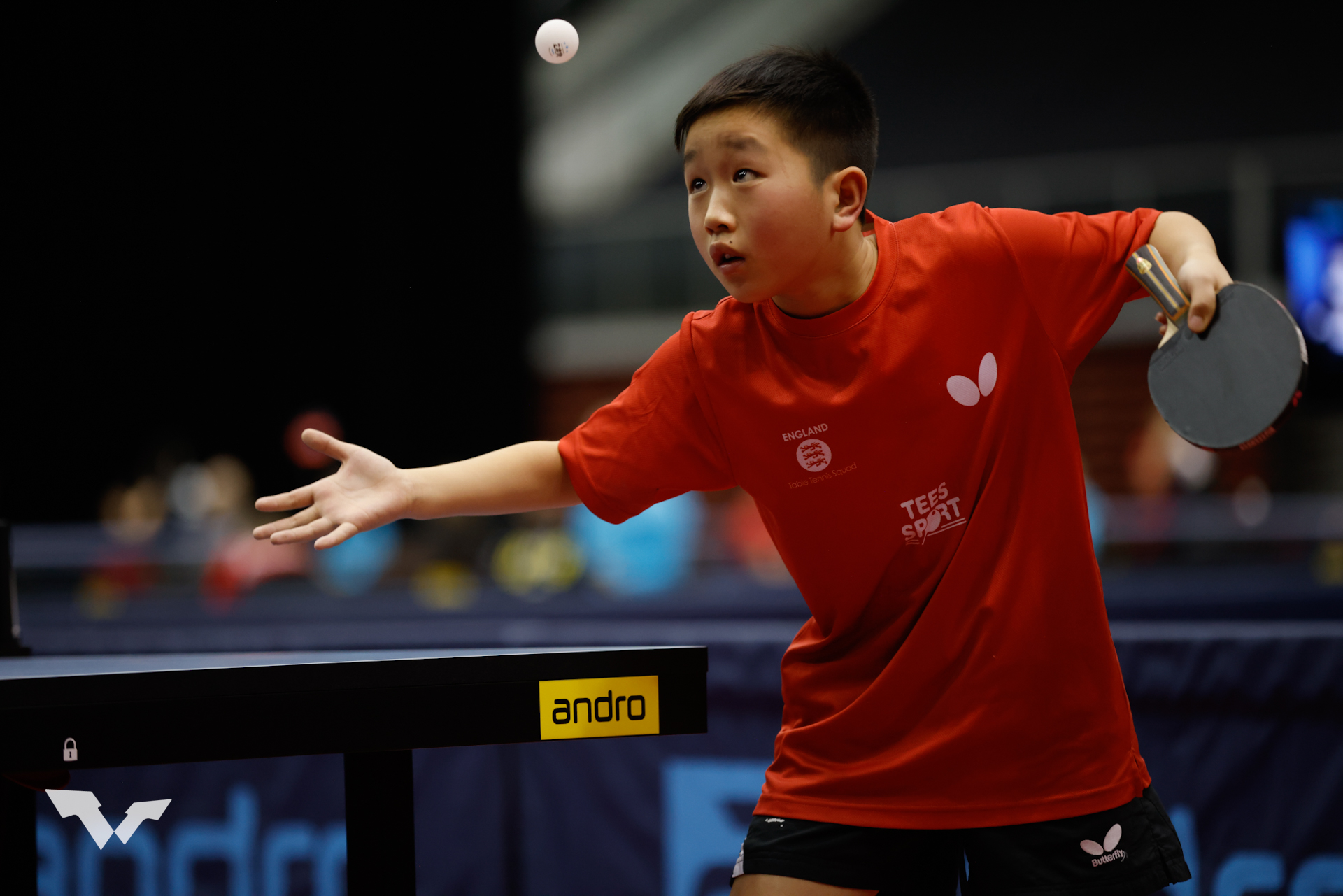 Dimitrov and Earley among the bright lights in Austria - Table Tennis England