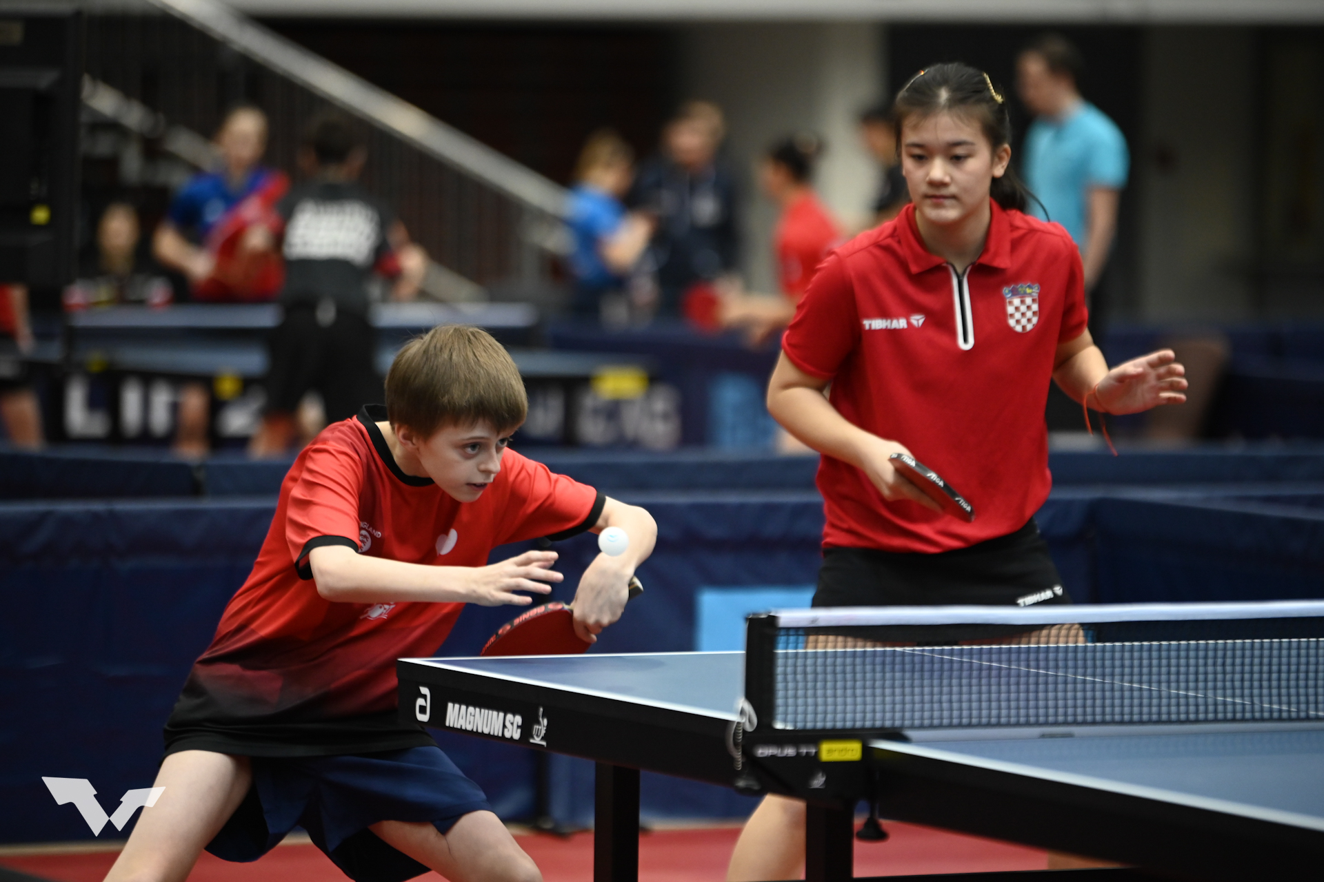 Dimitrov and Earley among the bright lights in Austria - Table Tennis ...