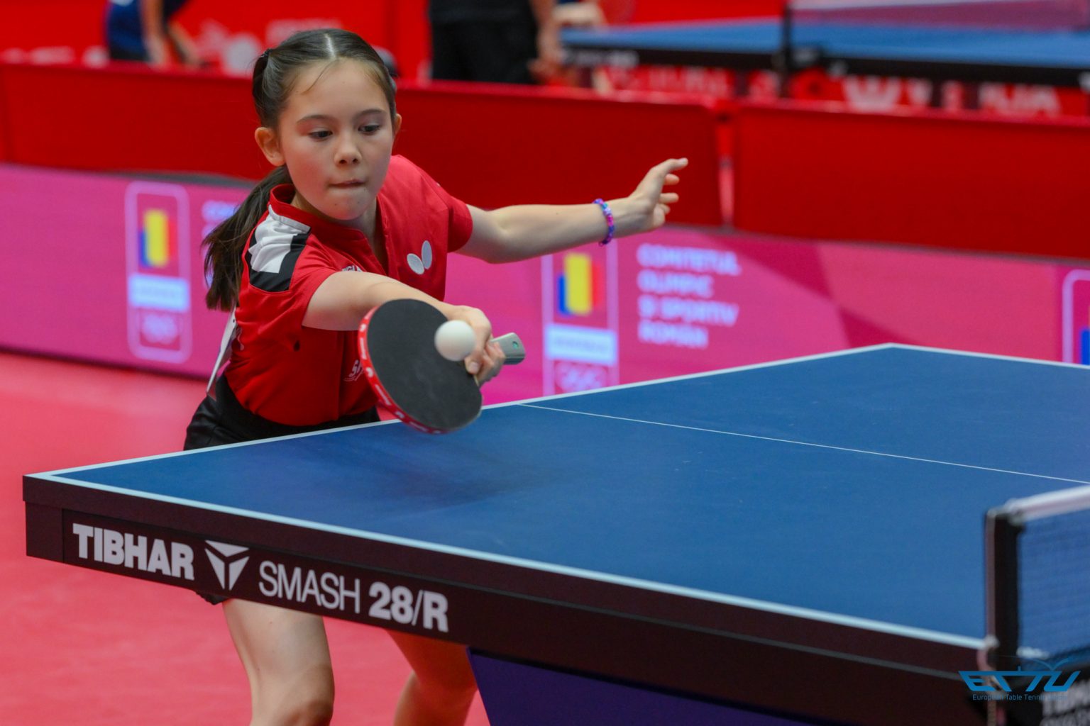 Dimitrov and Ramirez Rioja pick up best results in Romania - Table ...