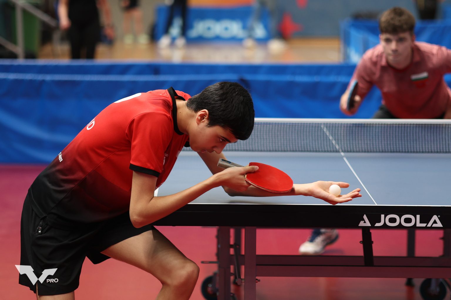 Kacper's on the podium again - and Anna's a champion in Serbia! - Table ...